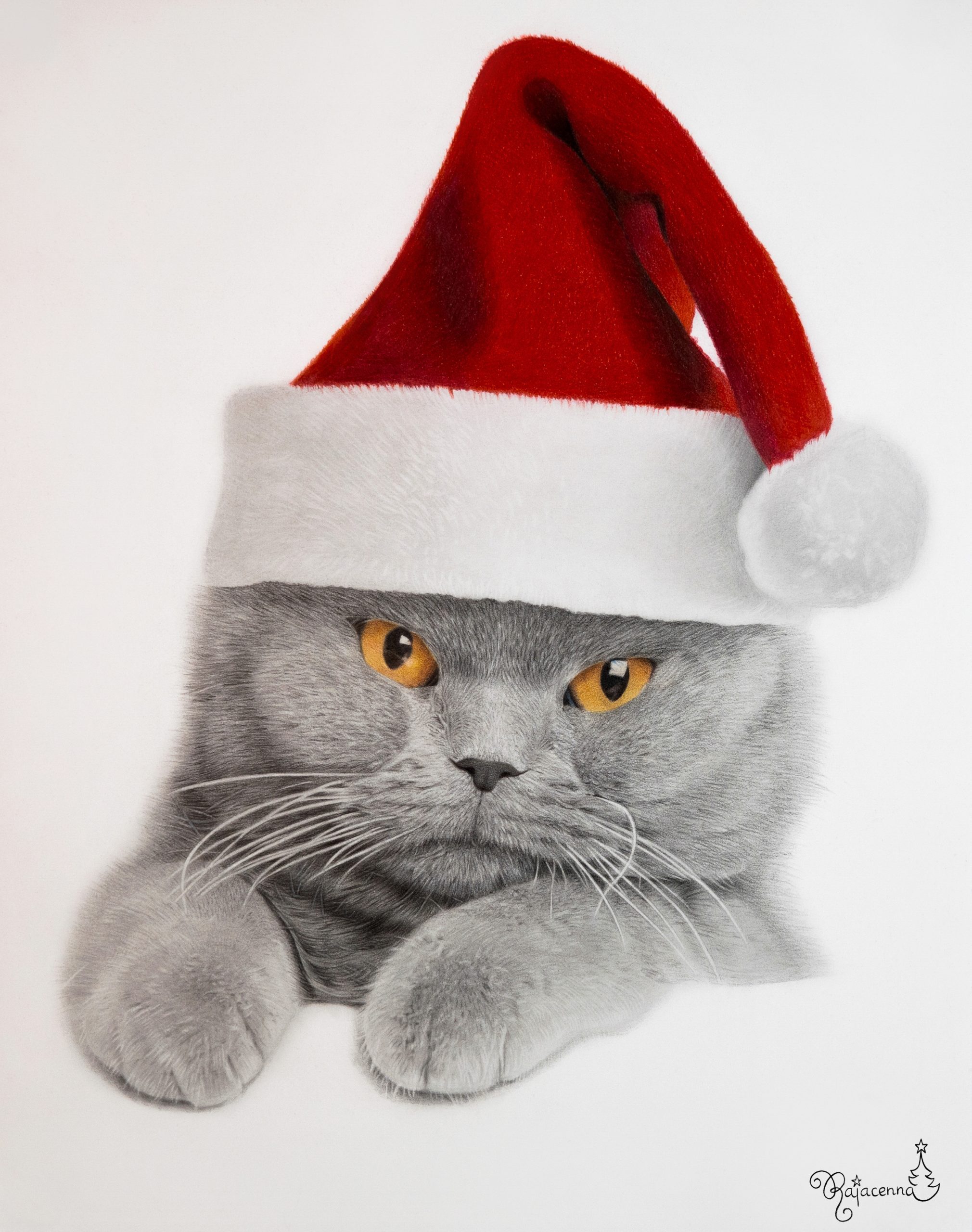 Gallery – International Ambidextrous Quadridextrous Hyper ...